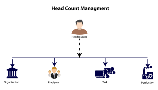 Headcount Management Software in Pakistan | Nedo Software Solutions